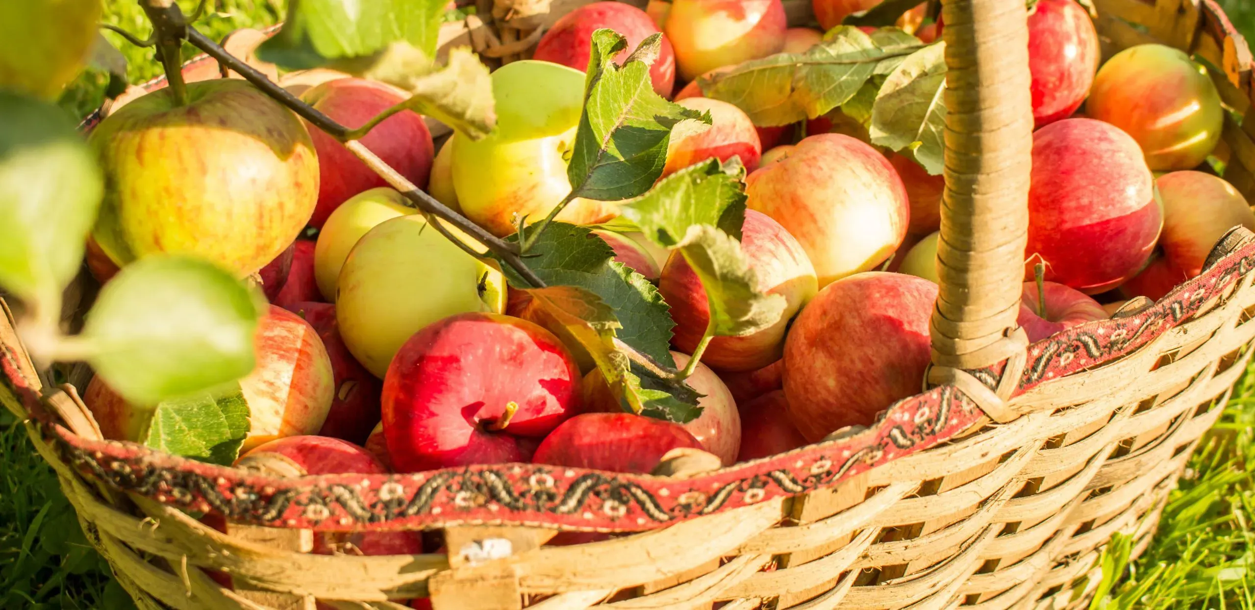 Der Steirische Apfel